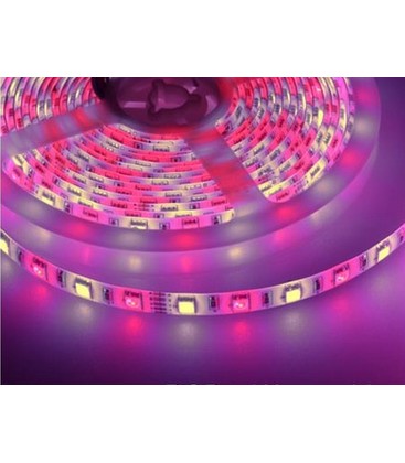 5m 10,8W/m RGB+WW LED-strip - 60 LED per meter